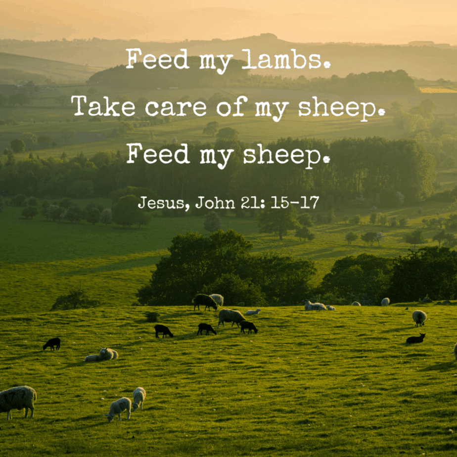 Discipling According to John 21 - AmyLu Riley